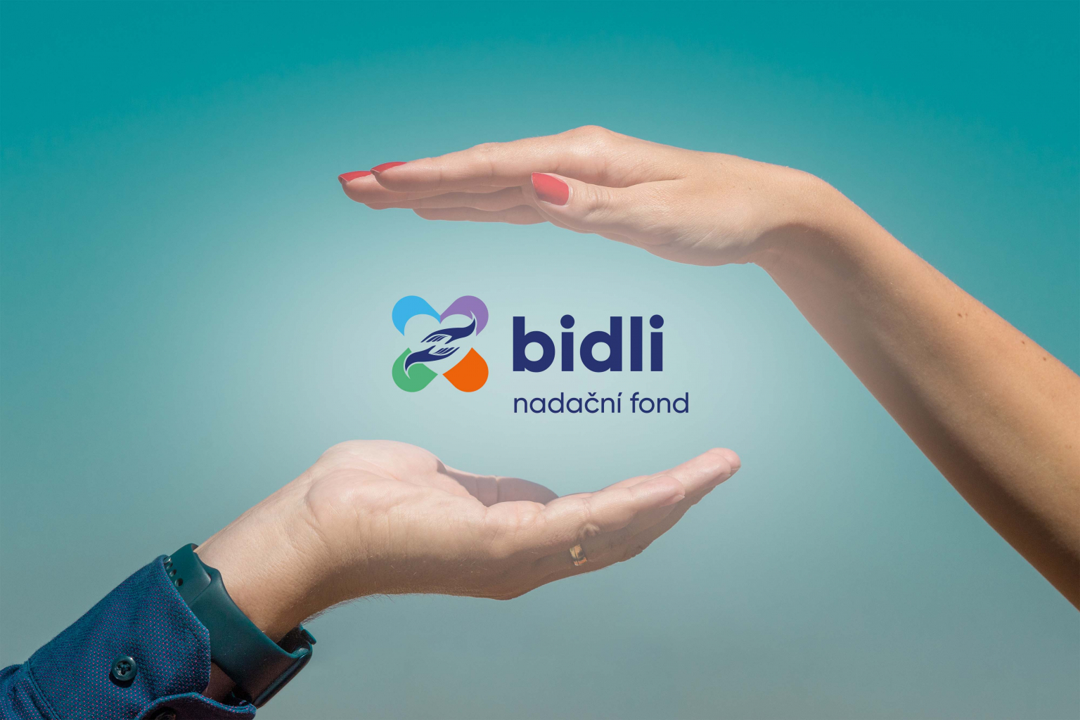 Bidli - Každá pomoc se počítá