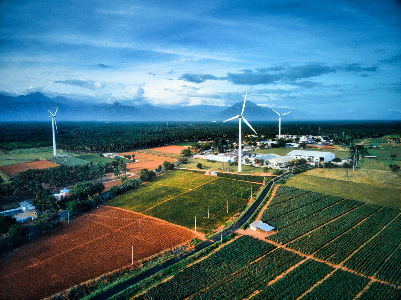 Bidli - Obchodník s energiemi – otravný prodejce, nebo užitečný rádce?