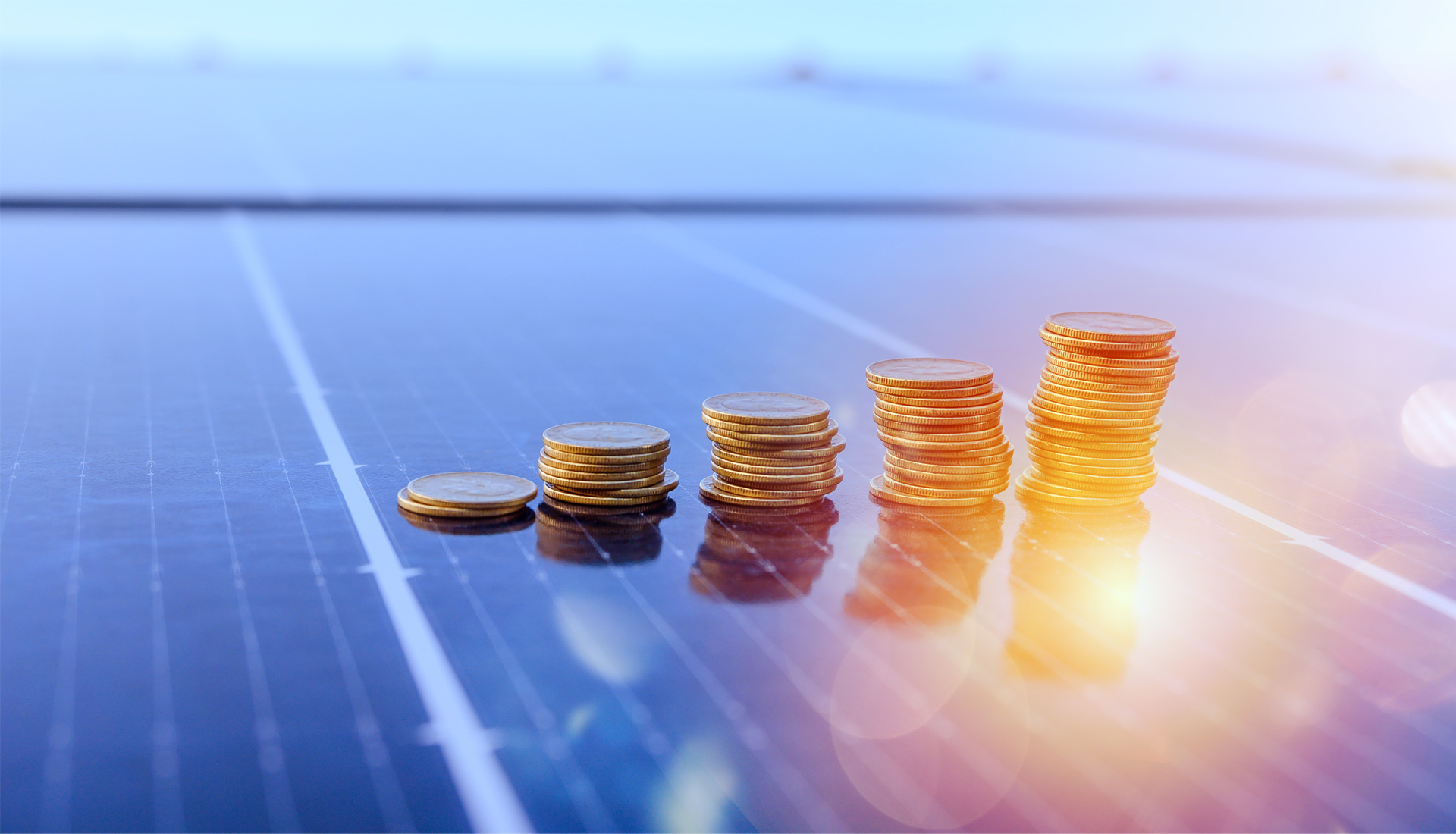 Bidli - Systém Lenercom